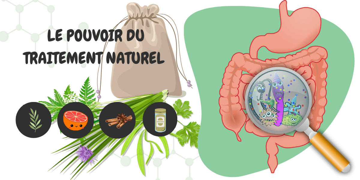 Candidose digestive : dépistage, diagnostic et traitement